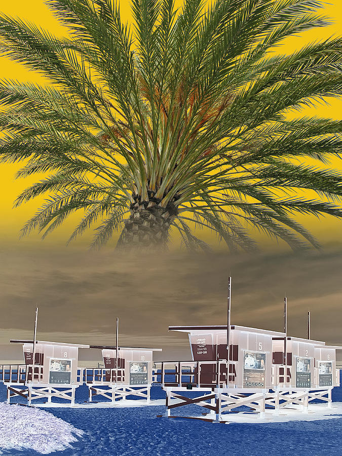 Beach #6 Photograph by David Thompson - Fine Art America