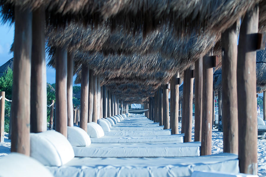Beach Beds Photograph by Ed Nicholles - Fine Art America