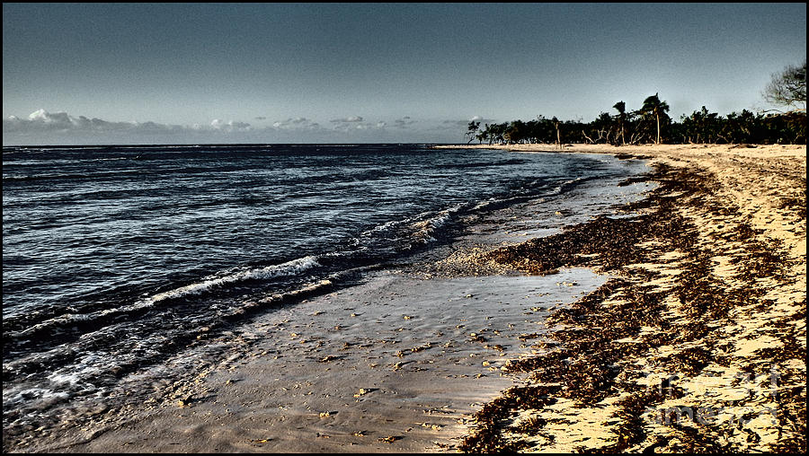 Beach Front Photograph by Ty Lee - Pixels