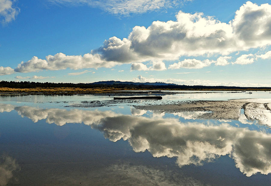 Beach Reflection Photograph by Michael Bruce - Fine Art America
