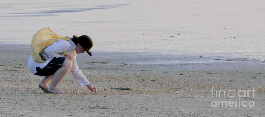 Beachcomber Photograph by Bob Stone - Fine Art America