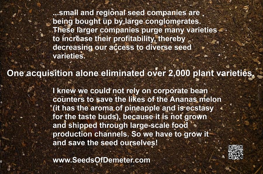 Bean Counters Photograph by Jon Simmons - Fine Art America