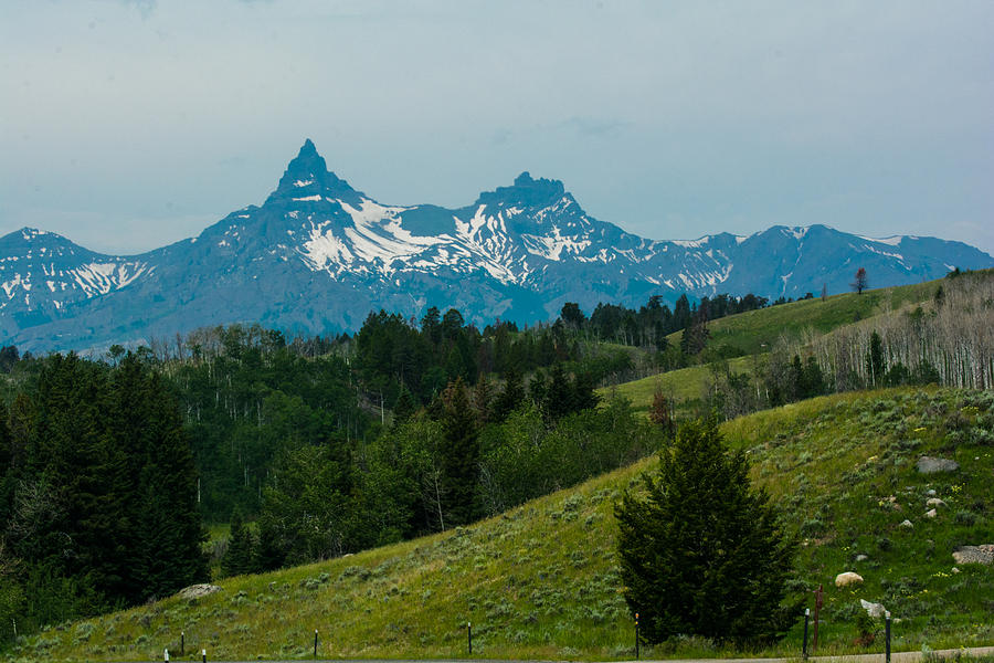 Bear Tooth Peak Photograph by Michael Gooch - Pixels