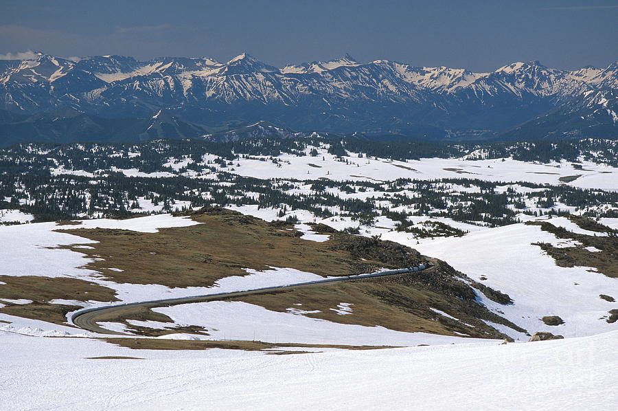 Beartooth Pass Photograph by Chris Selby - Fine Art America