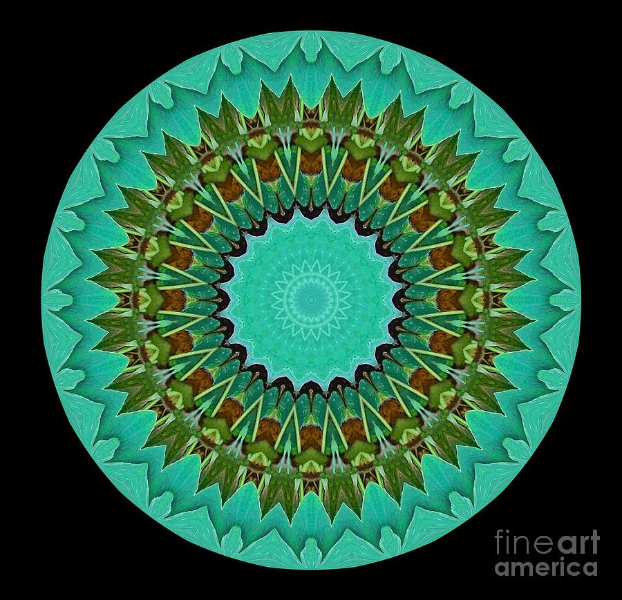 Beautiful Circle Photograph by Annette Allman | Fine Art America