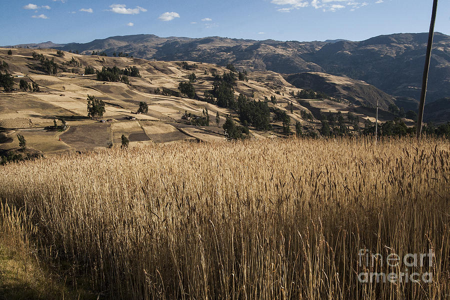 Beautiful land Photograph by Lucas Guardincerri - Fine Art America