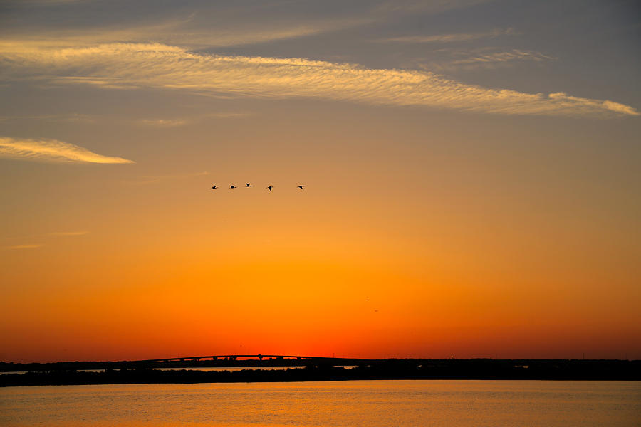 Bedtime Photograph by Patrick Anderson - Fine Art America