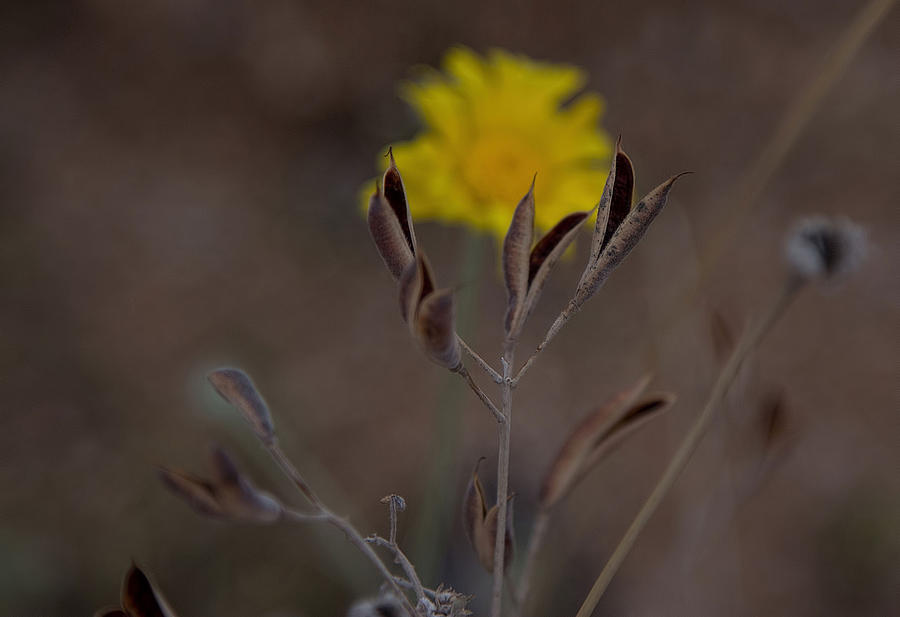 Behind Photograph by David March - Fine Art America