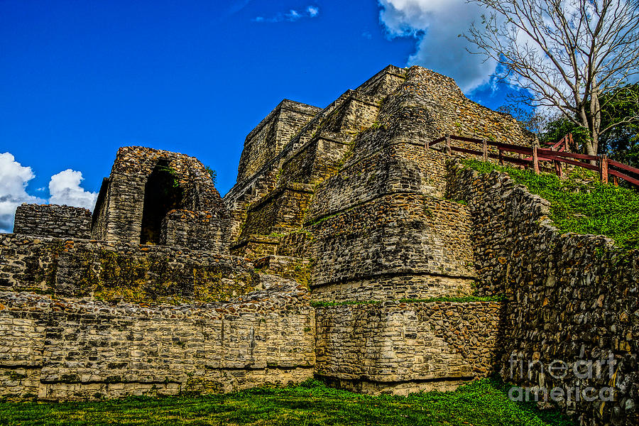 Belize Mayan Temple Photograph by Brad Sharp - Fine Art America