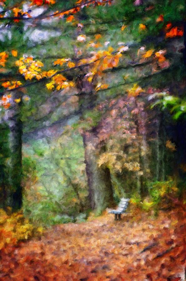 Bench Digital Art by Sandy Harrison - Fine Art America