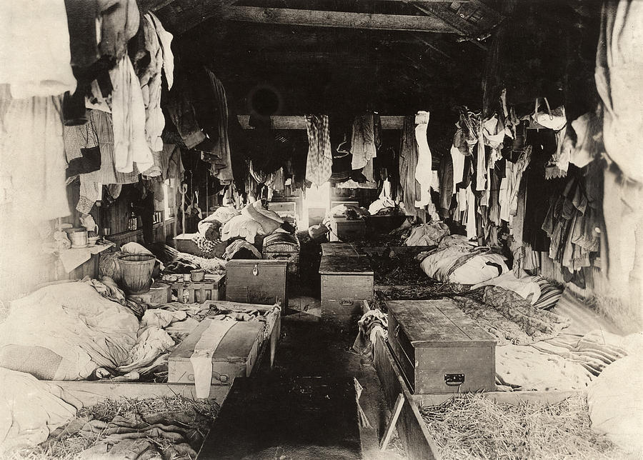 Berry Picker Shacks, C1909 Photograph by Granger - Fine Art America