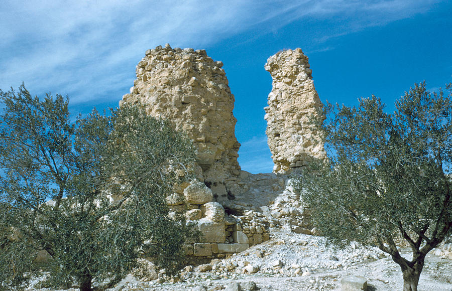 Bethany Ruins - Simon the Leper Photograph by Granger - Fine Art America