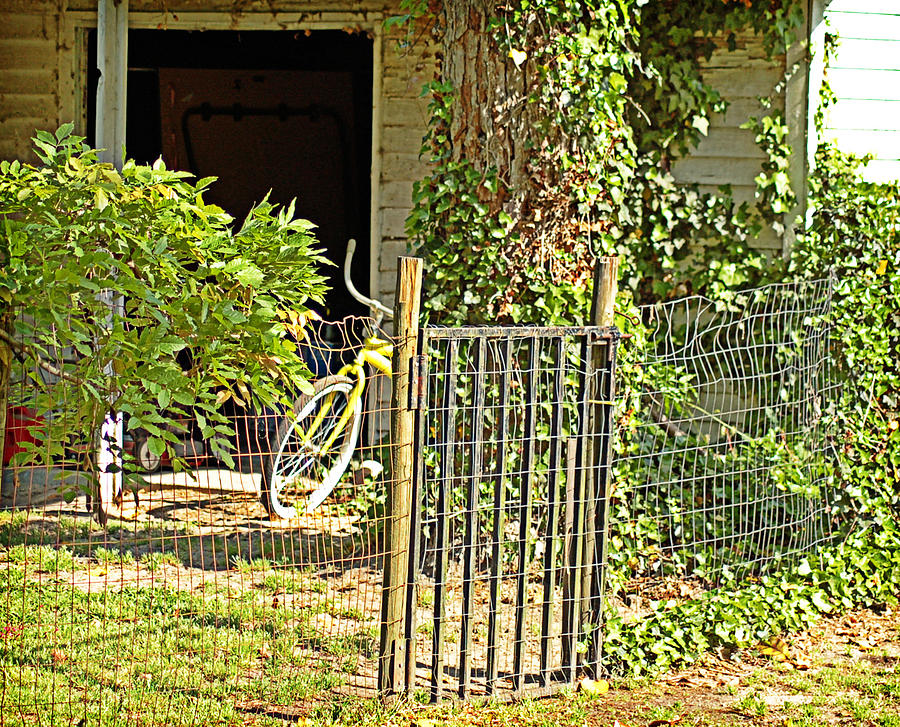 Bicycle Through the Gate Photograph by Linda Brown - Fine Art America