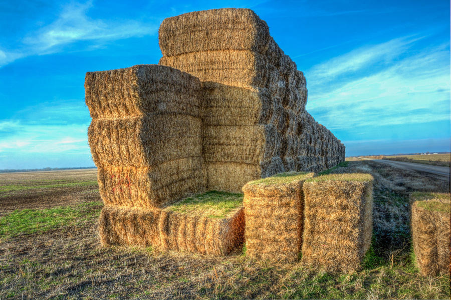Big Bales Photograph by Larry Pacey - Pixels Big Bales Photograph by Larry Pacey - Pixels