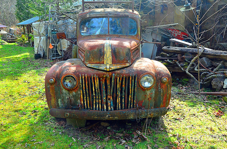 Big Bumpers Photograph by Lauren Leigh Hunter Fine Art Photography - Pixels