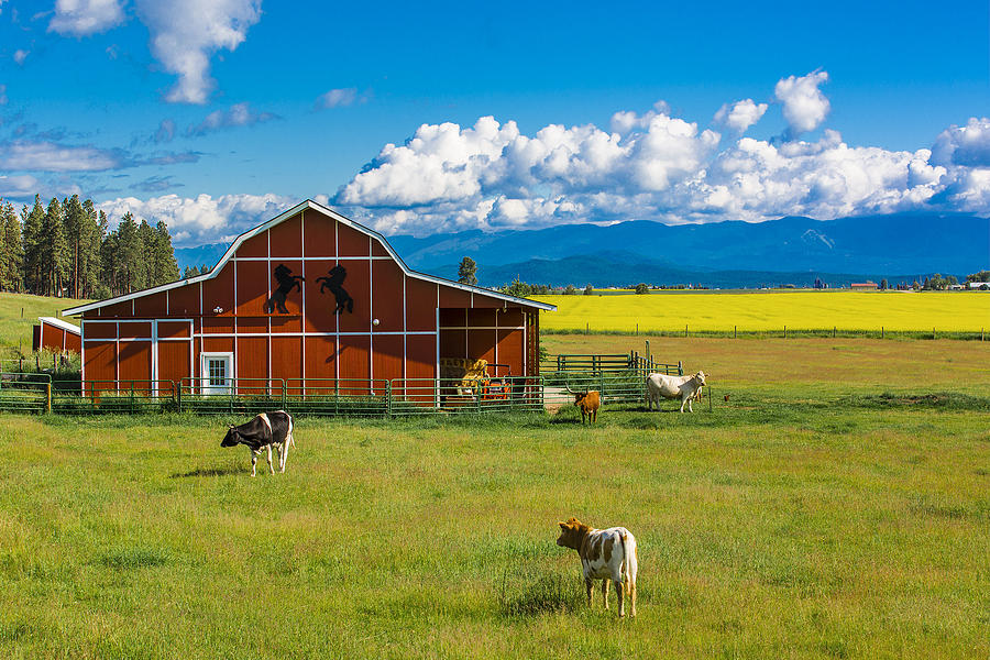Big Sky Barn Photograph by Dan Neri - Pixels