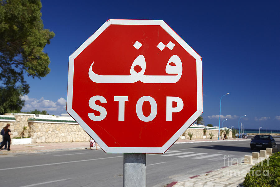 Bilingual Stop sign Photograph by Premierlight Images - Pixels