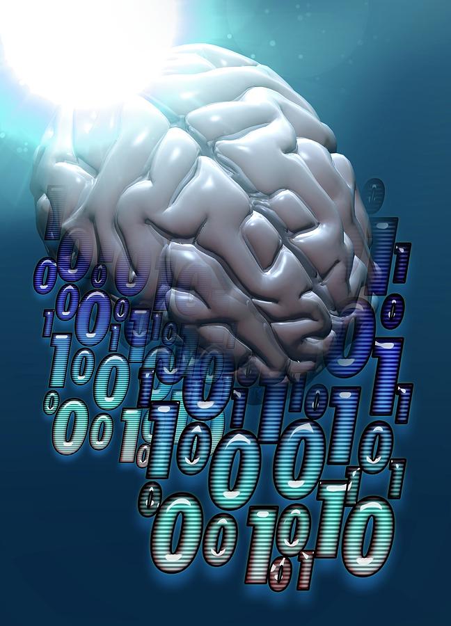 Binary Code And Human Brain Photograph by Victor Habbick Visions - Pixels