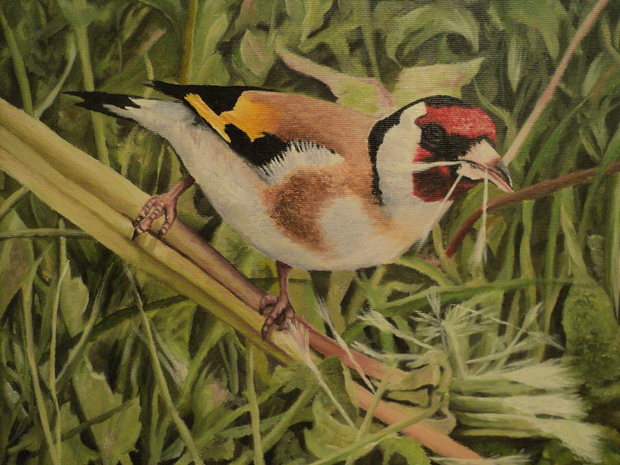 Bird Painting by Drazenko Maric - Fine Art America