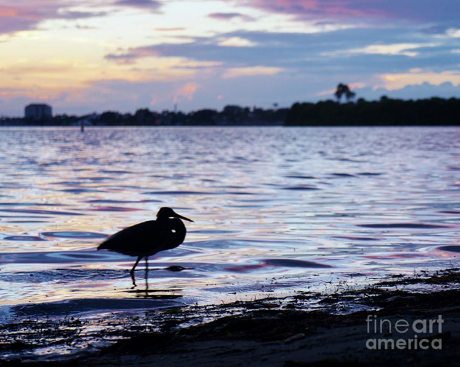 Bird In Maximo Photograph by Brian Eddleman - Fine Art America