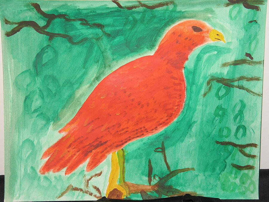 Bird Painting by Sean Murray - Fine Art America