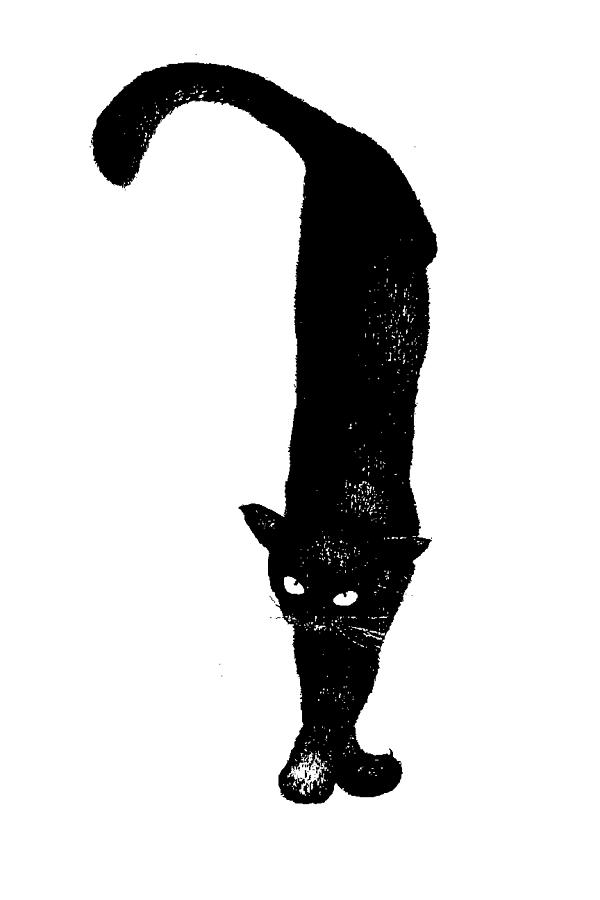 Black cat Drawing by Tatiana Makeeva - Pixels Black cat Drawing by Tatiana Makeeva - Pixels