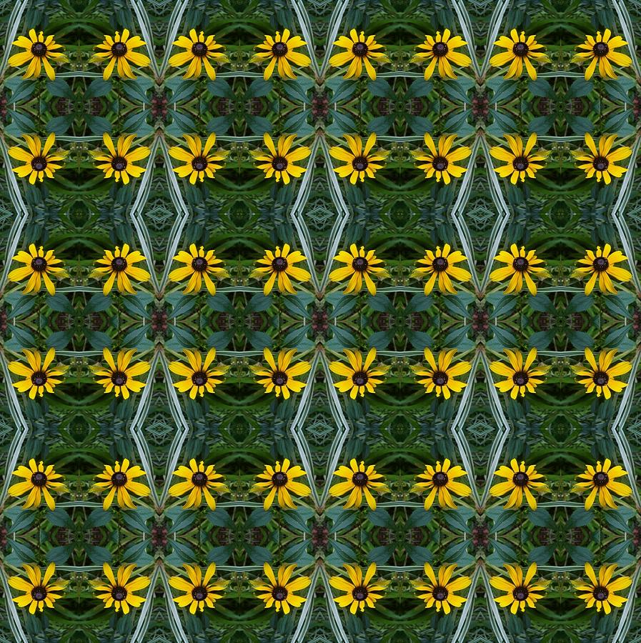 Black Eye Susan Pattern Photograph by Nicki Bennett - Pixels