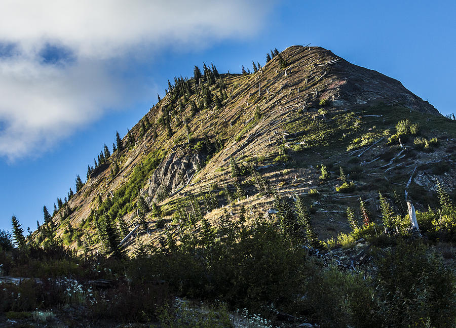 Blast Still Waves Photograph by Steven Walker - Pixels