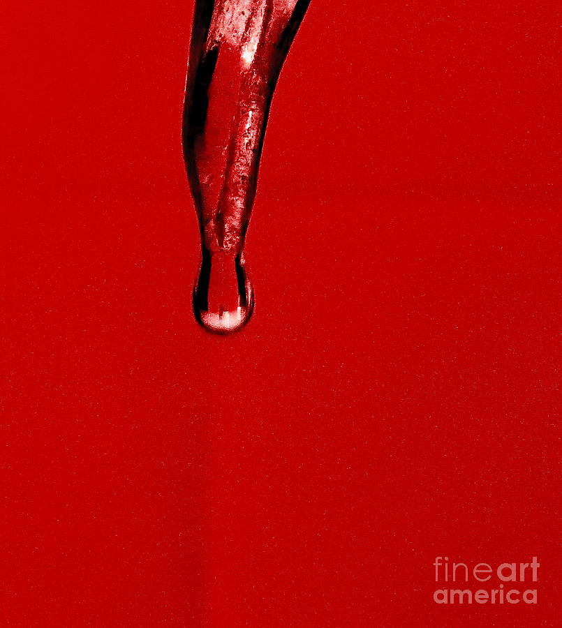 Bleeding Through Photograph by Randy Jackson - Fine Art America