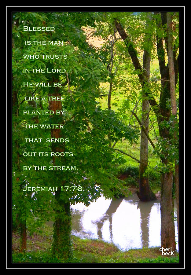 Blessed Photograph by Cheri Beck - Fine Art America