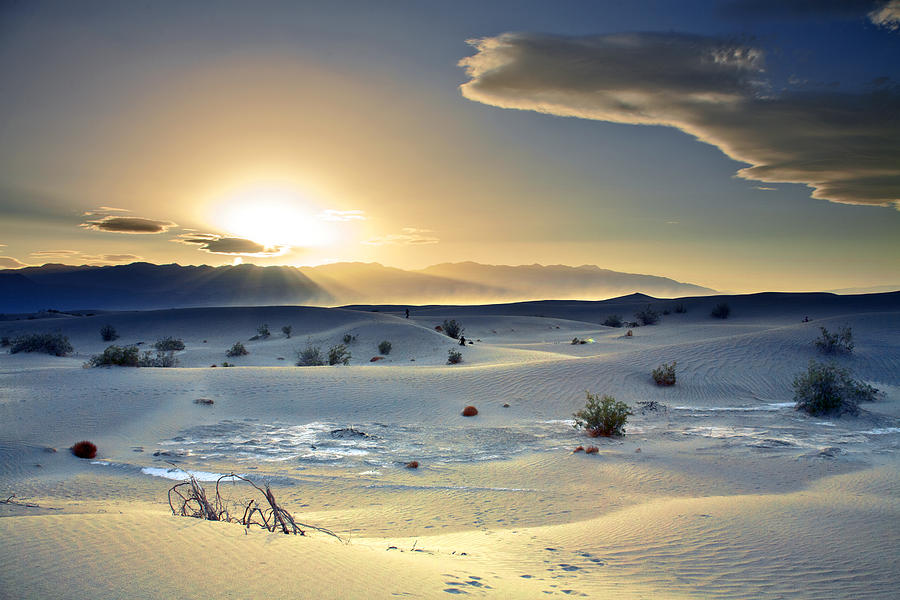 Blue Dunes Photograph by Naheed Choudhry - Fine Art America