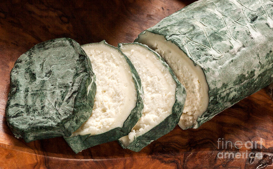 Blue Goat Cheese Photograph by Iris Richardson - Pixels