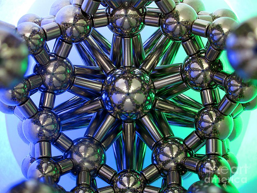 Blue Green StarFlower Photograph by Mark Teeter - Fine Art America