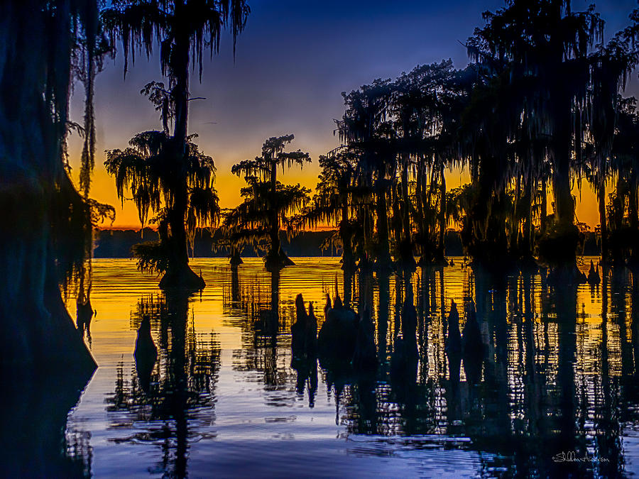 Blue Hour Digital Art by Sheldon Anderson - Fine Art America