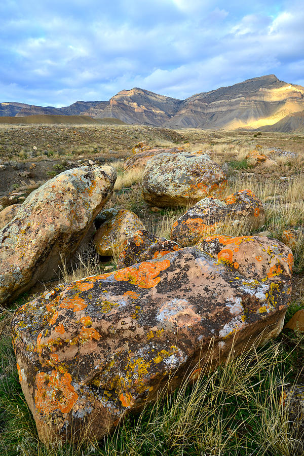 Book Cliffs 26 Photograph by Ray Mathis - Fine Art America