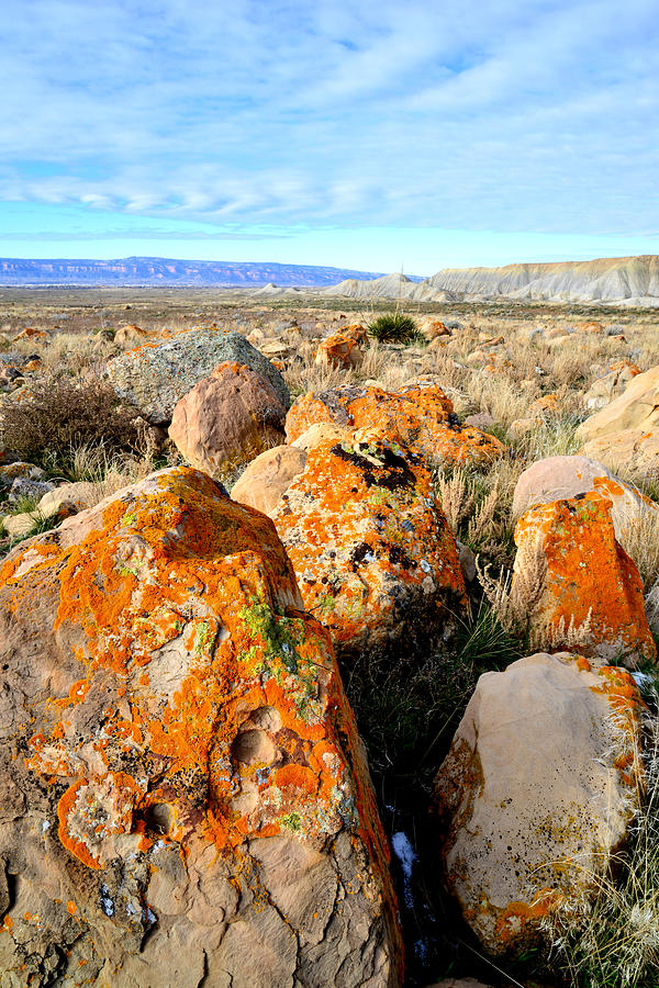 Book Cliffs 7 Photograph by Ray Mathis - Fine Art America