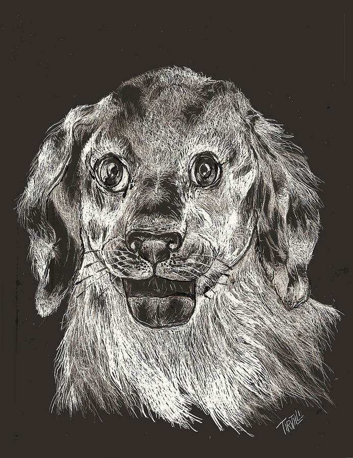 Boomley Drawing by Robert Tiritilli - Pixels