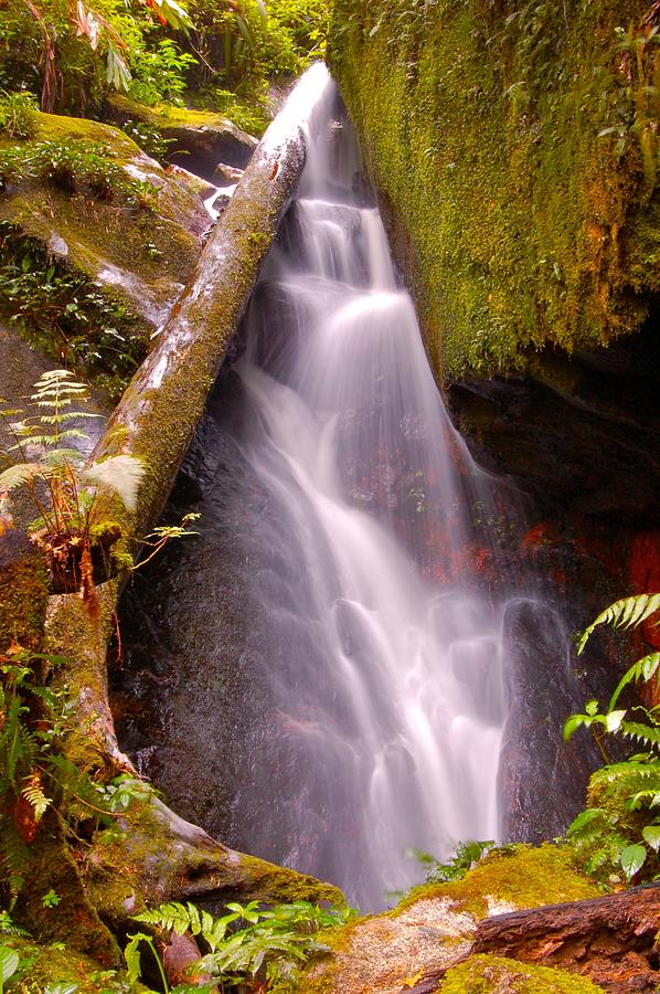 Borneo Waterfall Photograph by Gunnar Everson - Fine Art America