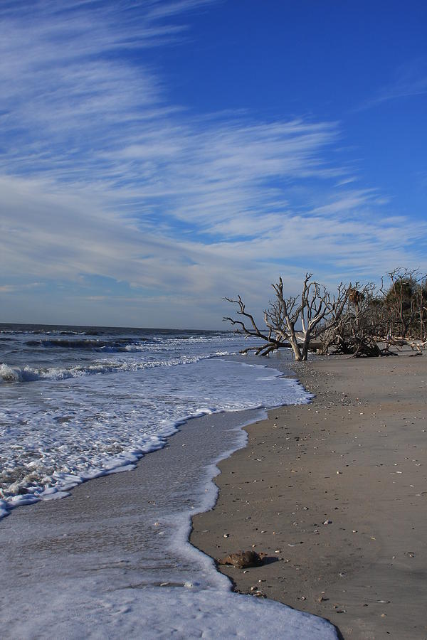 Botany Bay Photograph by Michael Weeks - Fine Art America