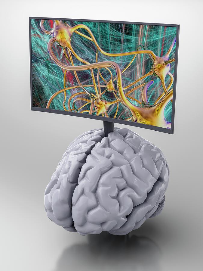 Brain Research Photograph by Laguna Design/science Photo Library - Fine ...