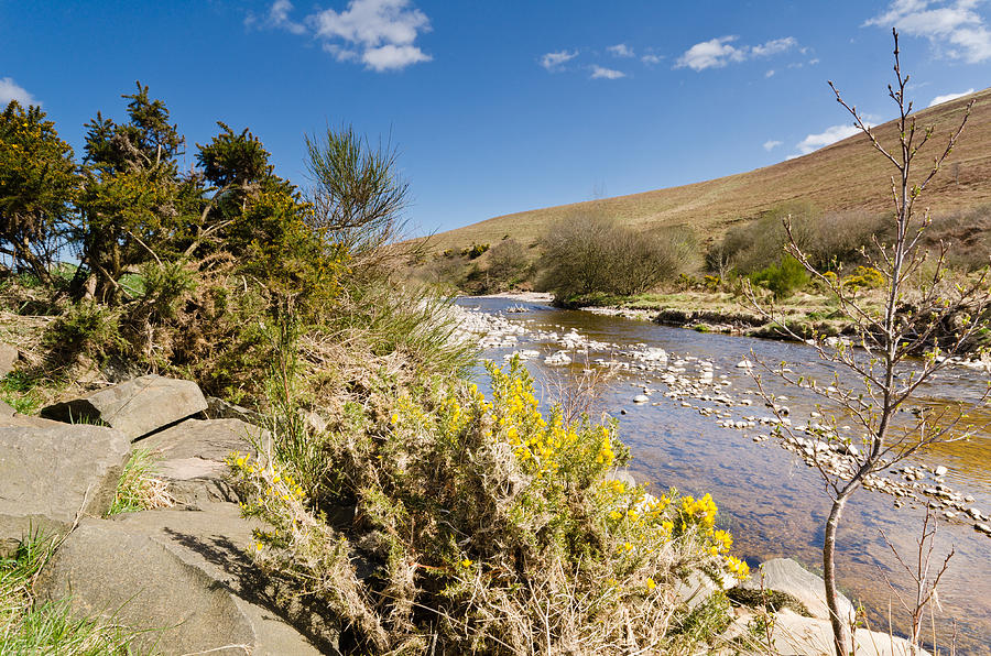 Breamish Valley in spring Photograph by David Head - Pixels