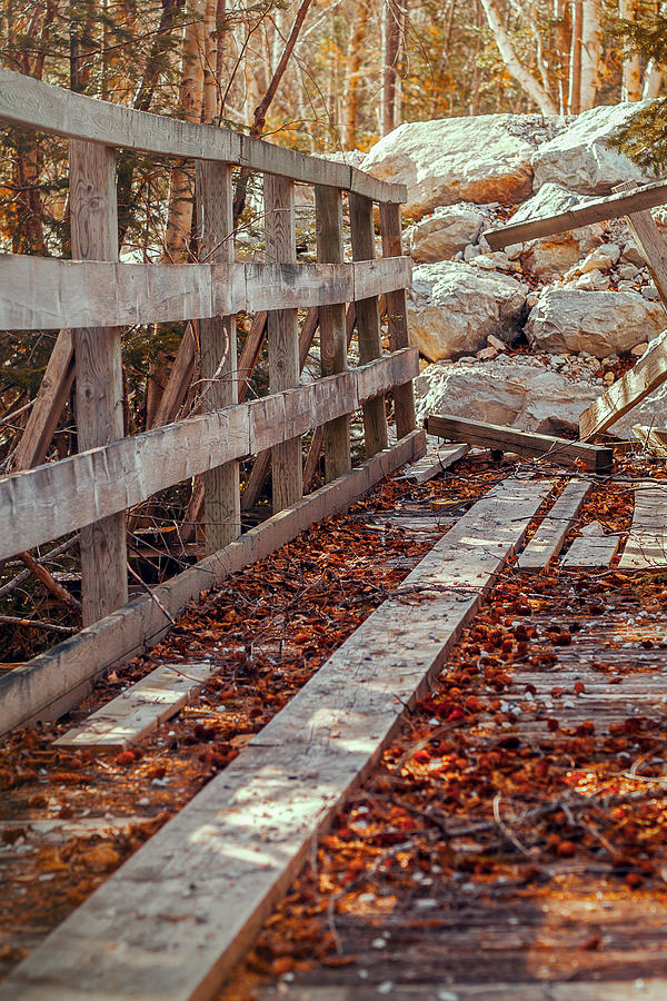 One Sided Bridge Photograph by Nick Prosper - Pixels