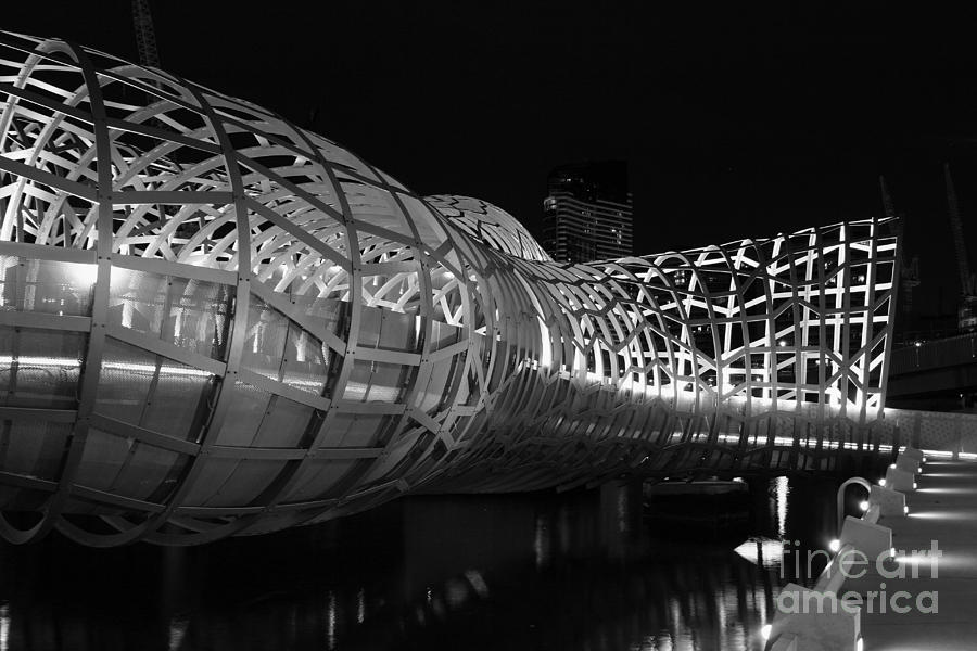 Bridge Cladding Photograph by Joshua Hakman - Pixels