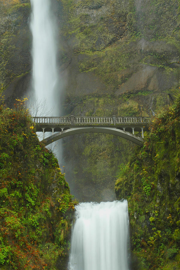 Bridge Over Falling Waters Photograph by Chris Eccles - Fine Art America