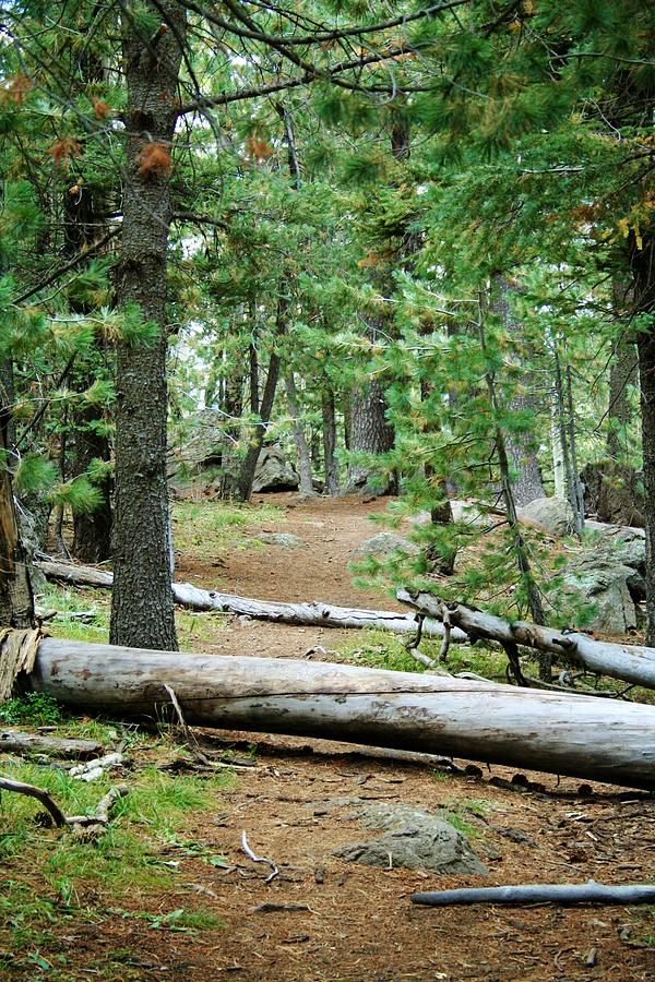 Broken Trail Broken Arch Trail Utah | AllTrails