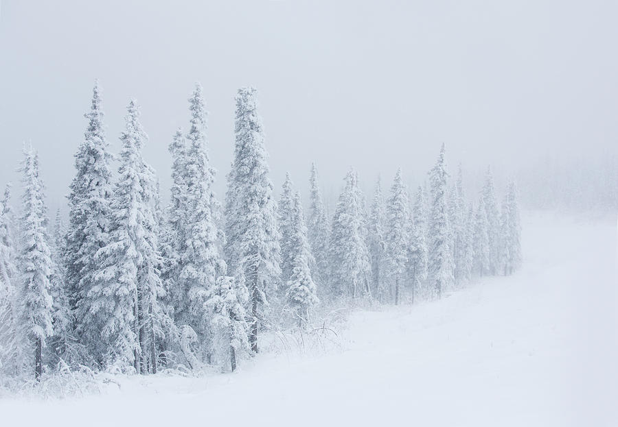 Brooks Range Winter Photograph by Matthew Studebaker - Fine Art America