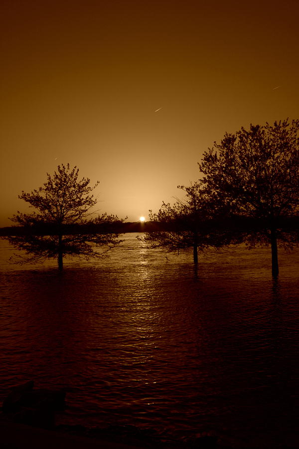 Brown Sunset Photograph by Joseph Obleton - Fine Art America