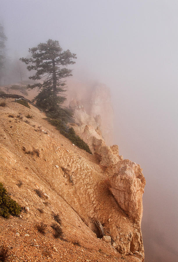 Bryce #2 Photograph by John Nelson - Fine Art America