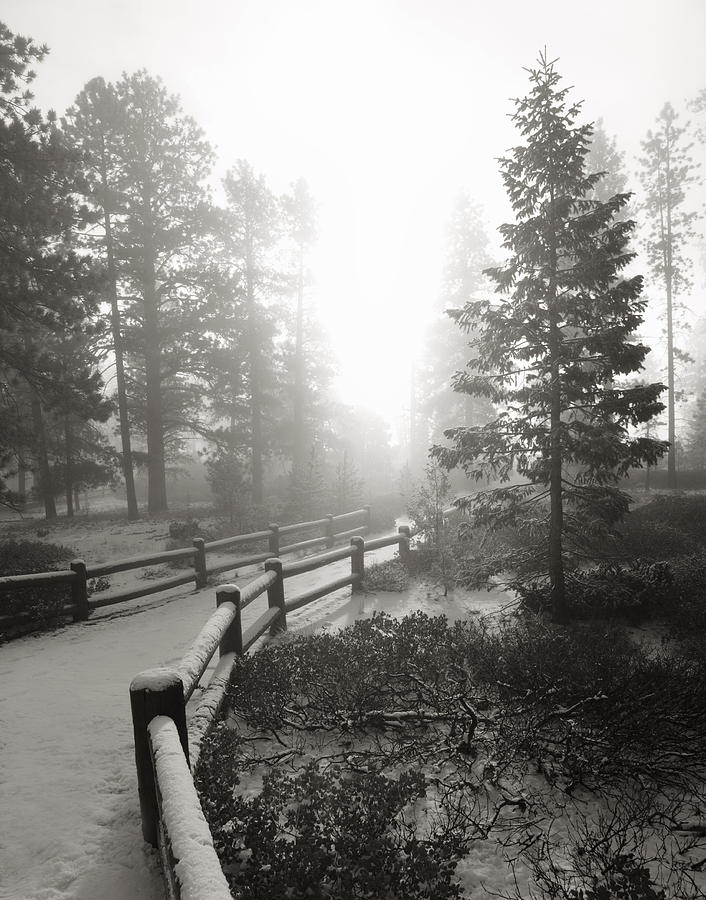 Bryce #3 Photograph by John Nelson - Fine Art America