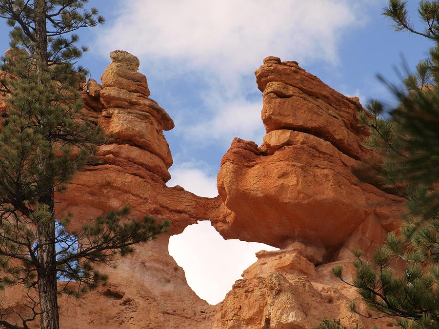 Bryce Canyon Arch Photograph by Martin Micale - Fine Art America